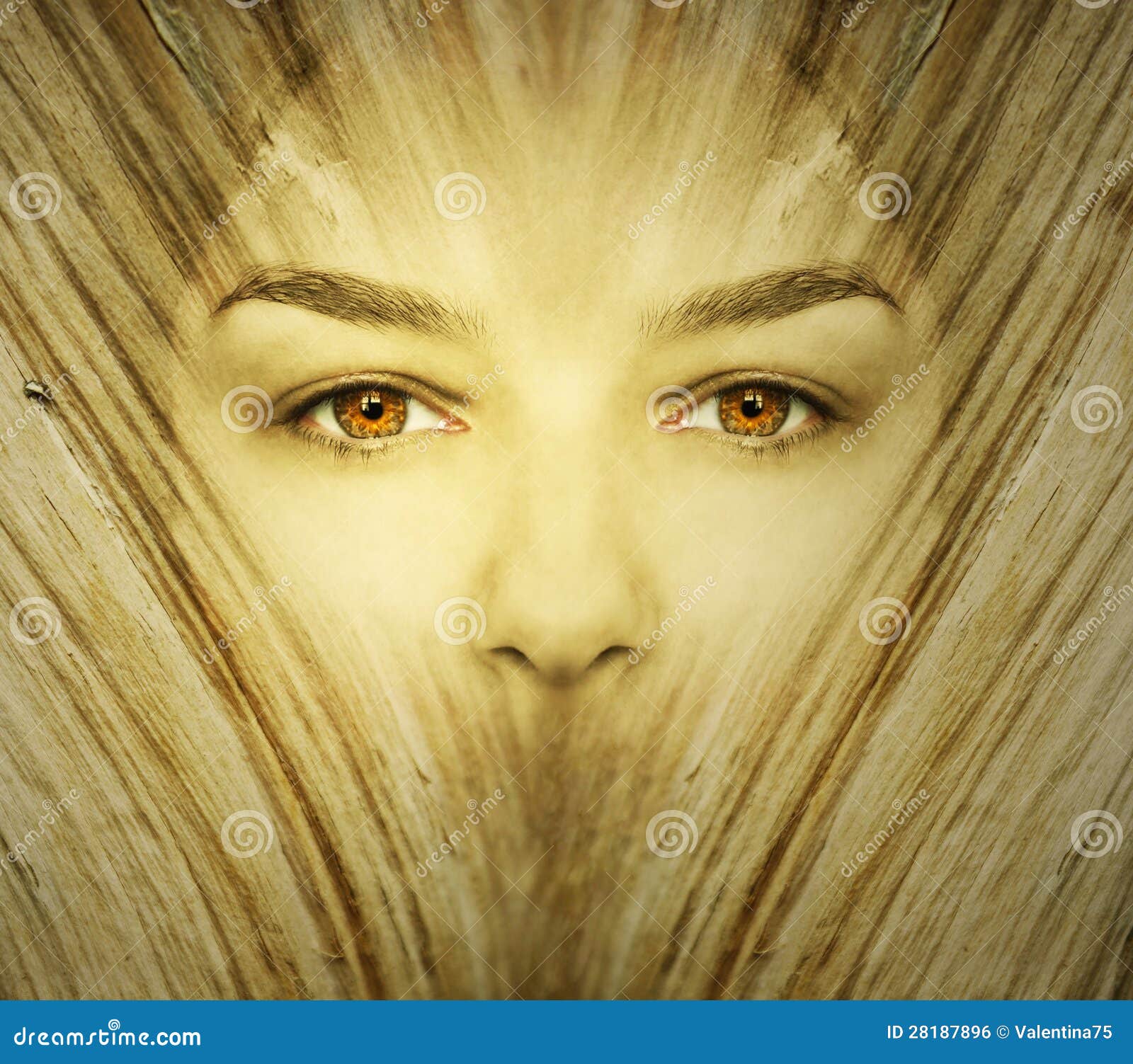 Metamorphosis stock photo. Image of collage, nose, metamorphosis - 28187896