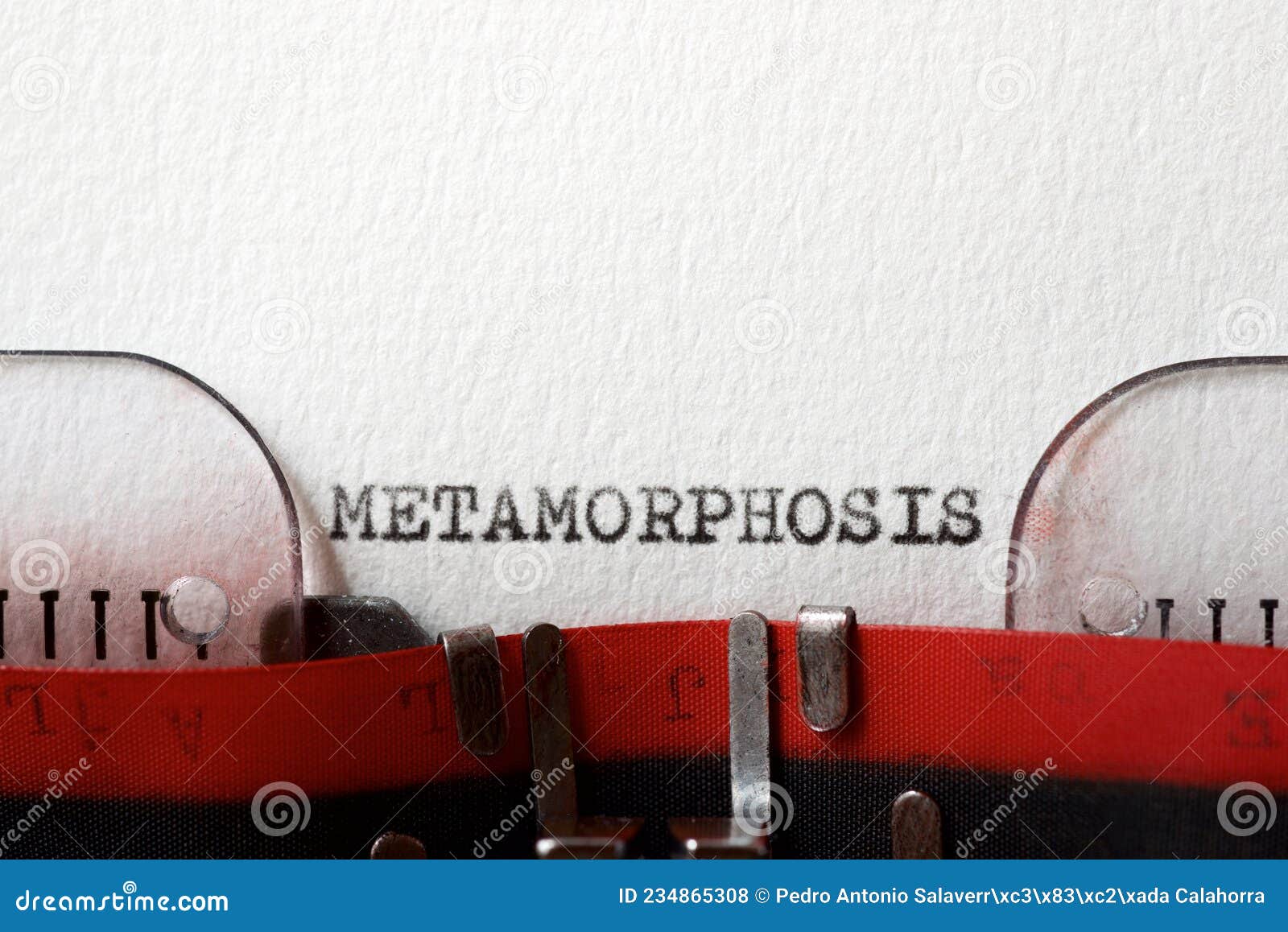 Metamorphosis concept view stock photo. Image of elegant - 234865308