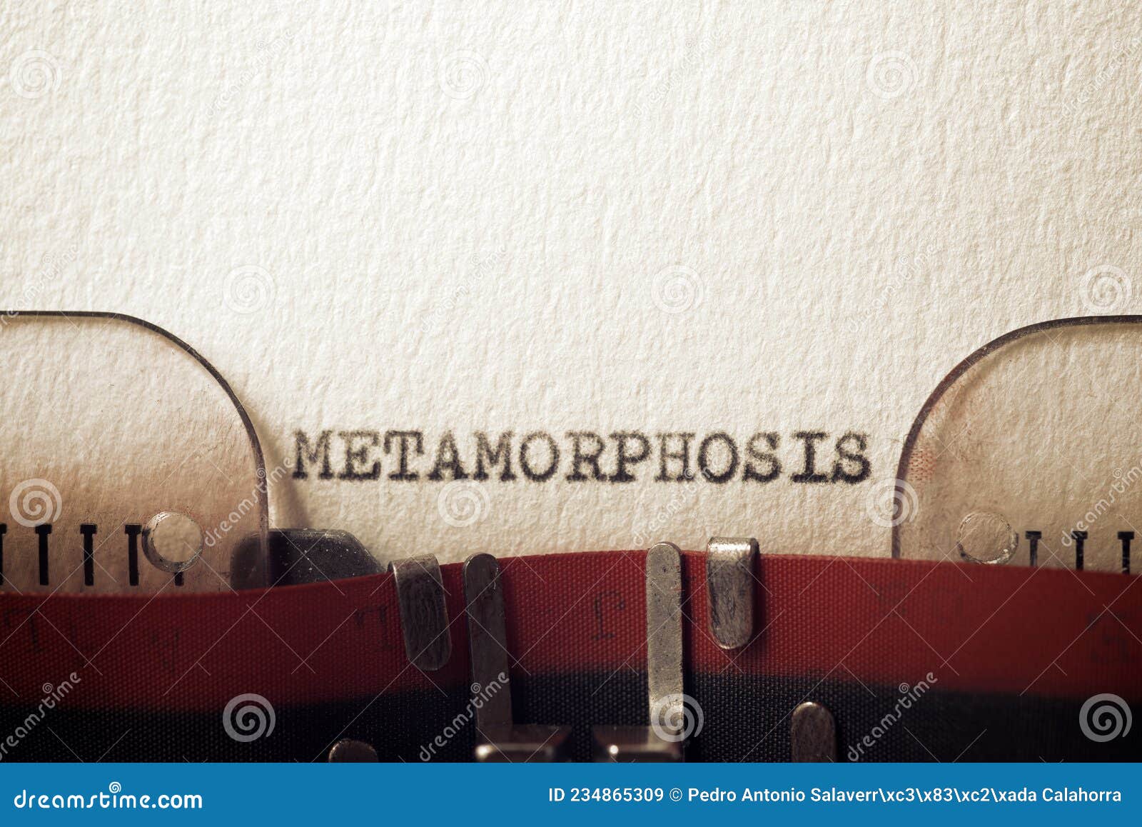 Metamorphosis concept view stock image. Image of change - 234865309