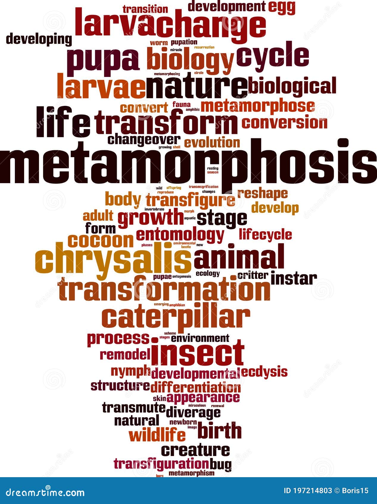 Metamorphosis word cloud stock vector. Illustration of birth - 197214803