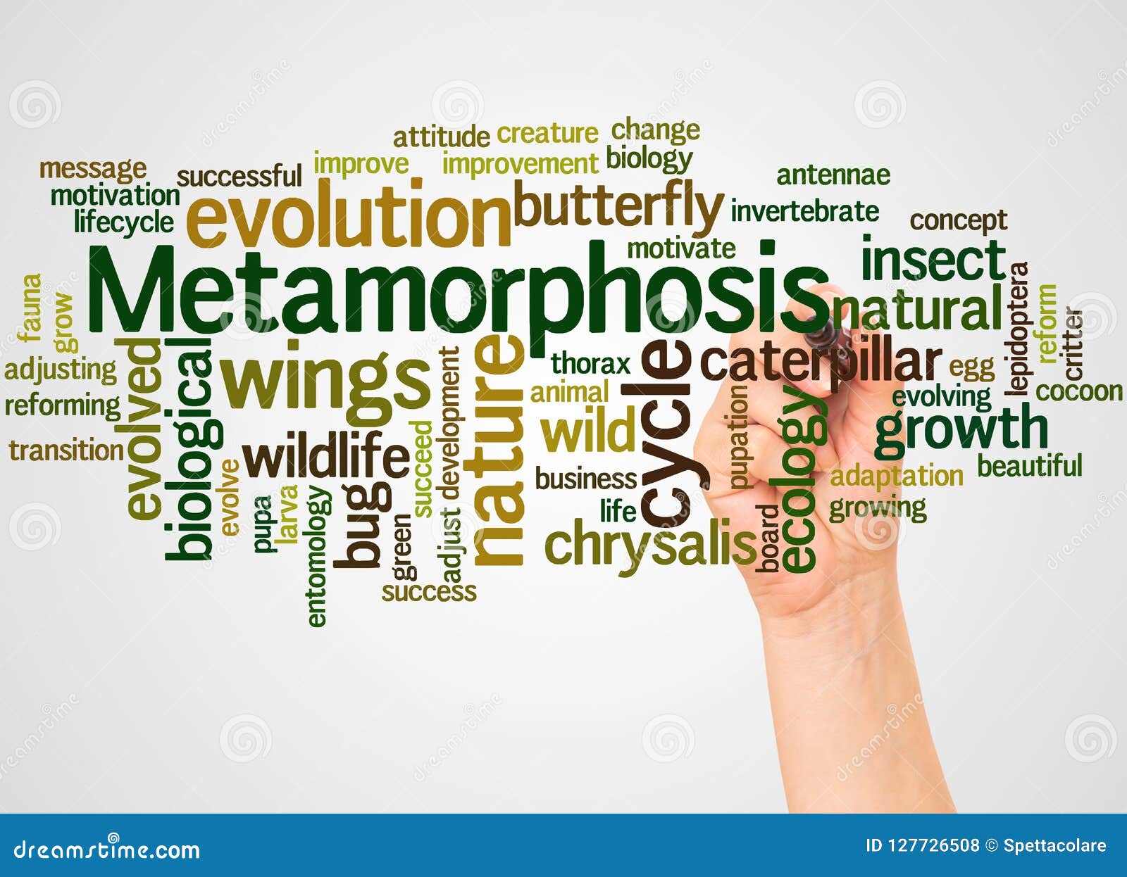 Metamorphosis Concept. Butterfly Life Cycle Banner. 3D Vector ...