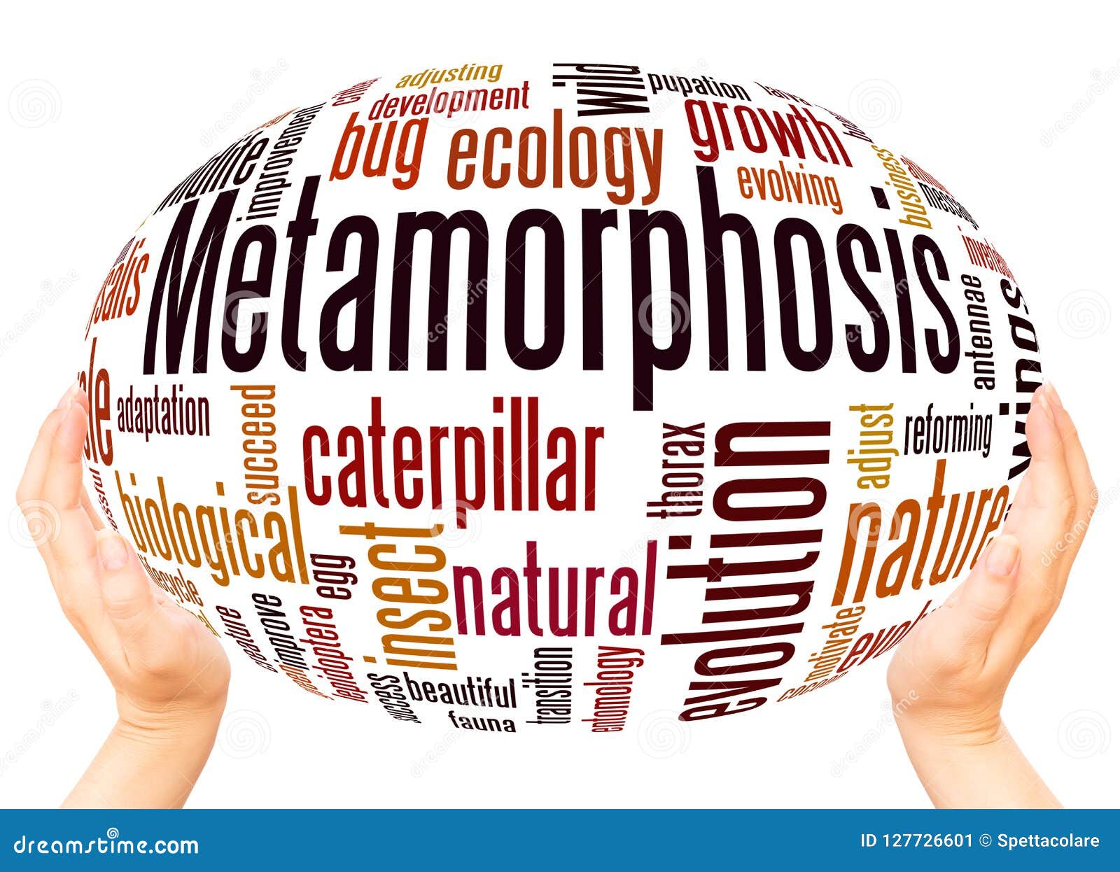 Metamorphosis Word Cloud Hand Sphere Concept Stock Illustration ...