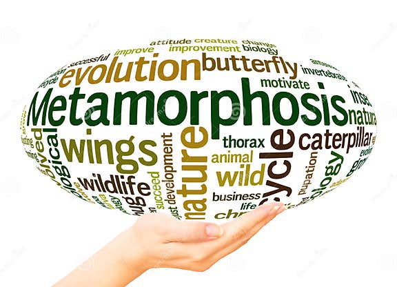 Metamorphosis Word Cloud Sphere Concept Stock Illustration ...