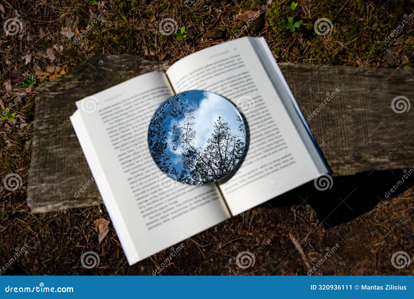 Metaphor. Reading is Like Growing a Tree Stock Image - Image of living ...