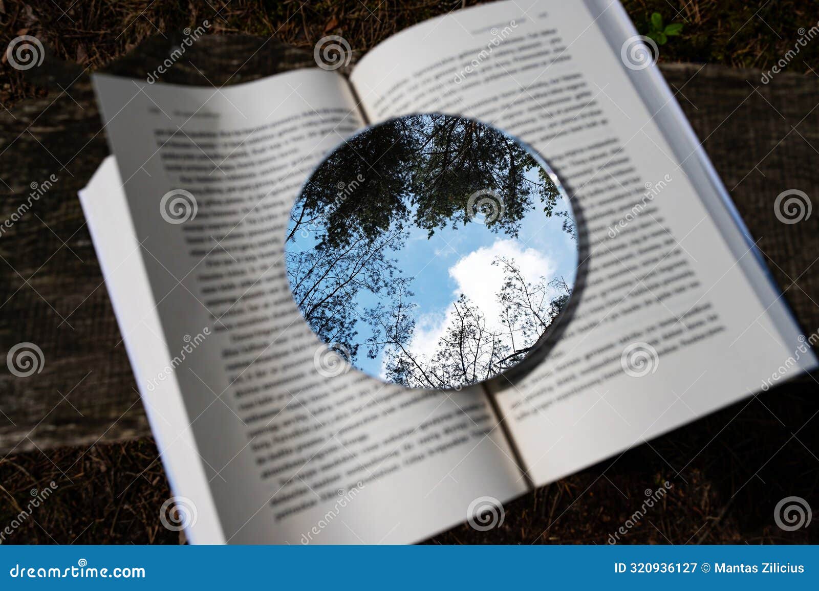 Metaphor. Reading is Like Growing a Tree Stock Image - Image of trees ...