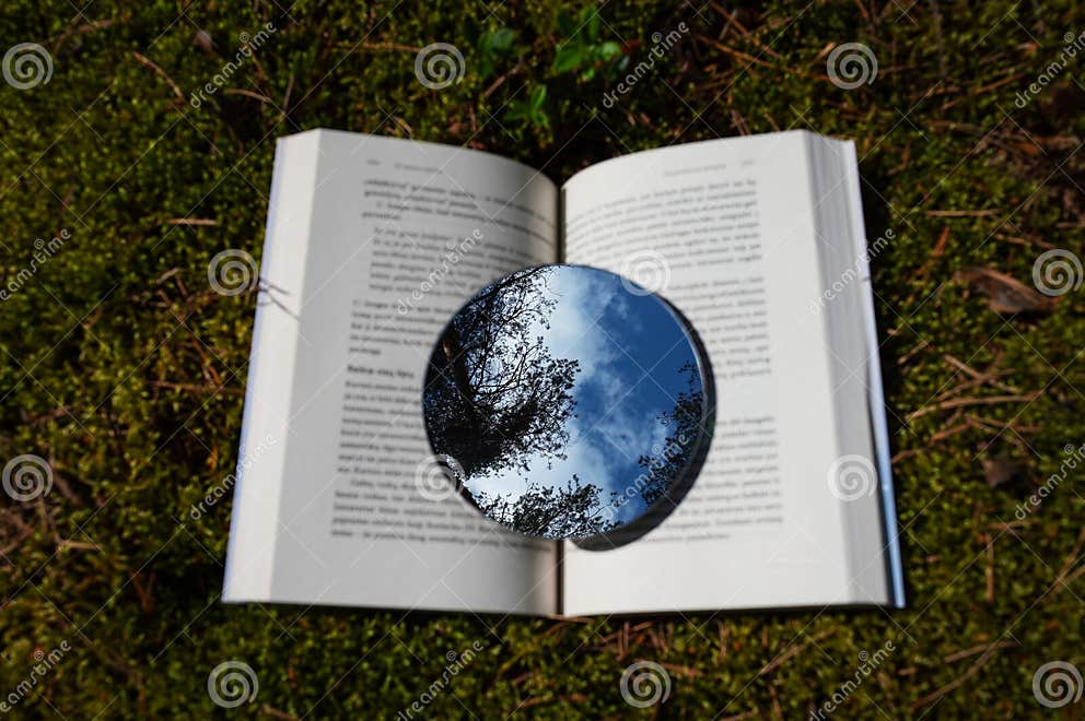 Metaphor. Reading is Like Growing a Tree Stock Image - Image of ...