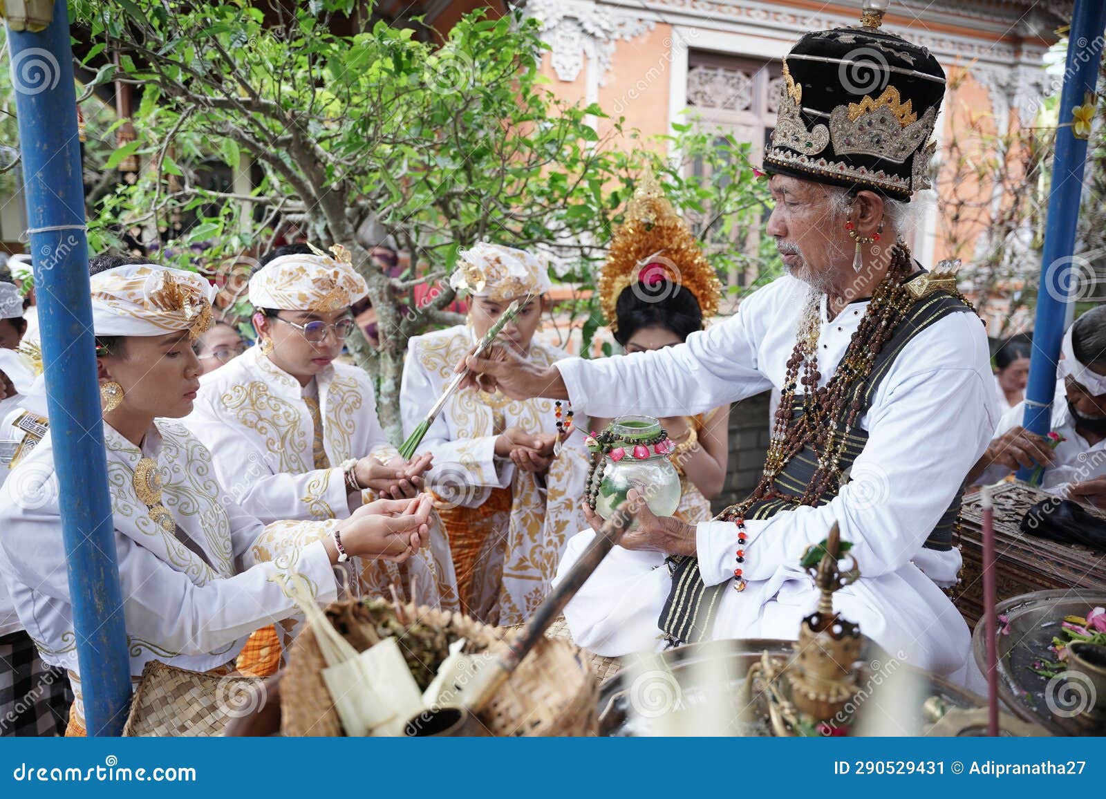 Metatah BALI editorial photo. Image of grown, eliminate - 290529431