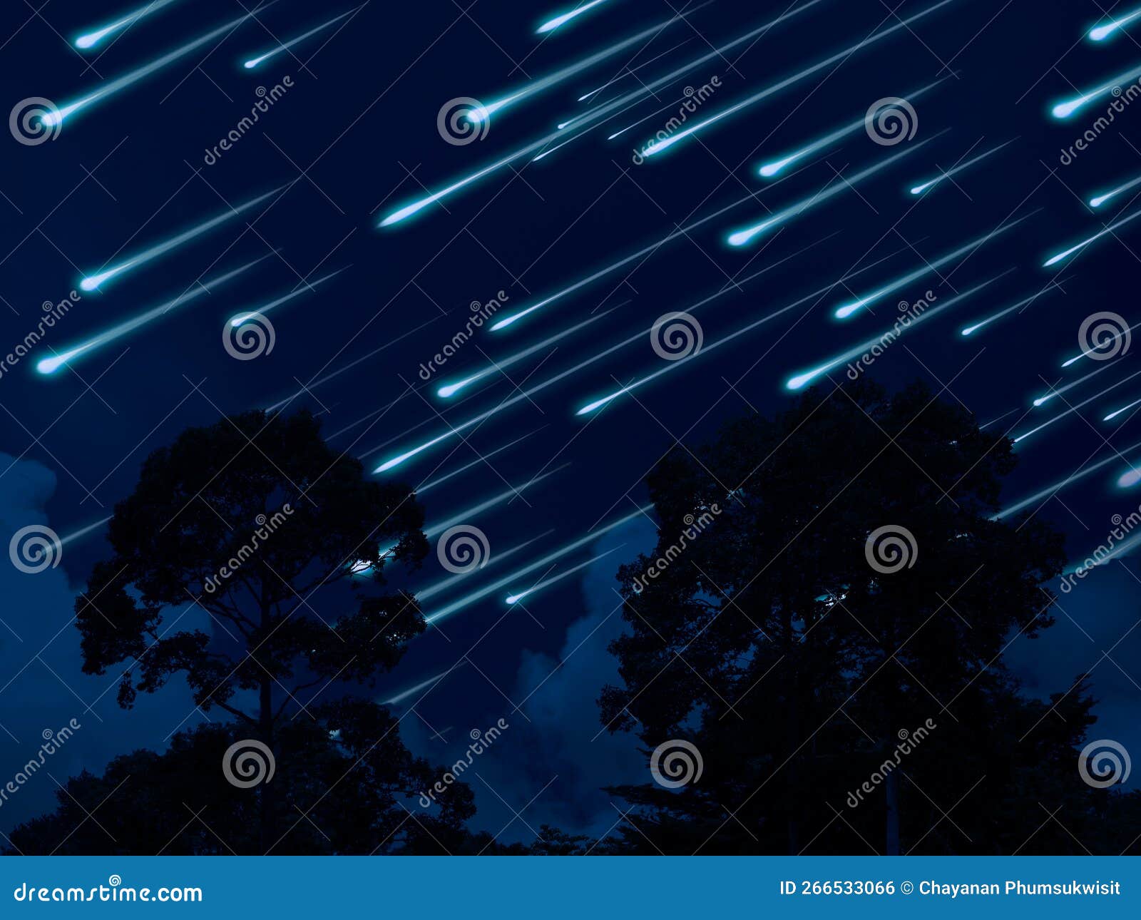 Meteor on the Night Sky Dark Cloud and Tree in Tropic Forest Stock ...