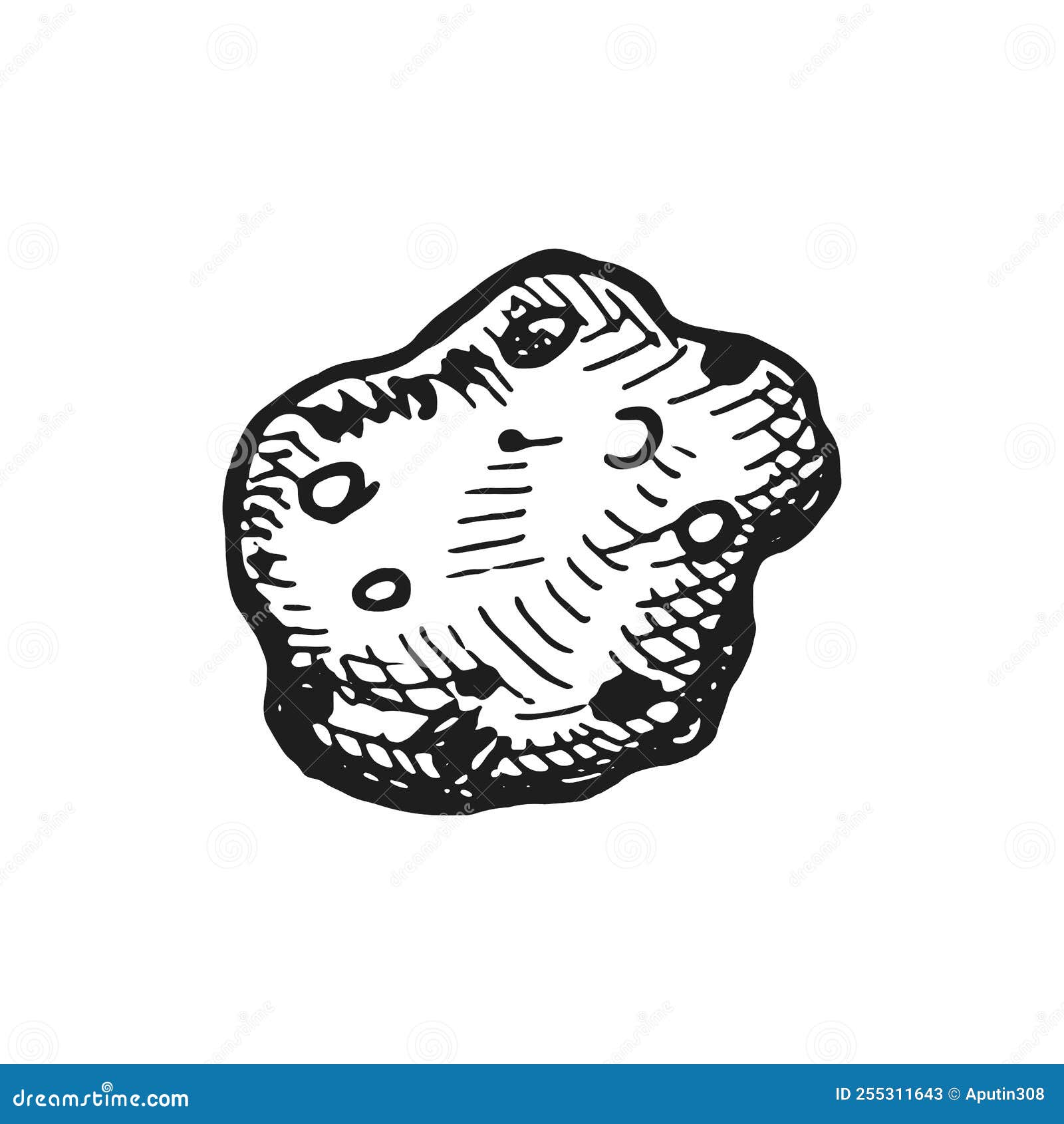 Meteorite Vector Sketch Hand Drawing Illustration Stock Vector ... Meteorite Vector Sketch Hand Drawing Illustration Stock Vector ...