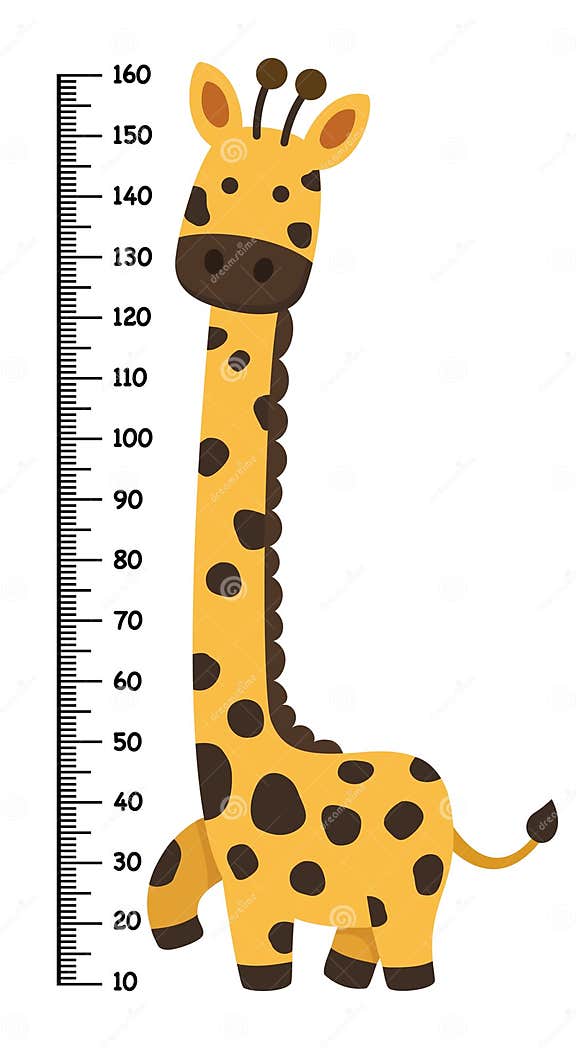 Meter Wall with Giraffe Vector Stock Vector - Illustration of drawing ...