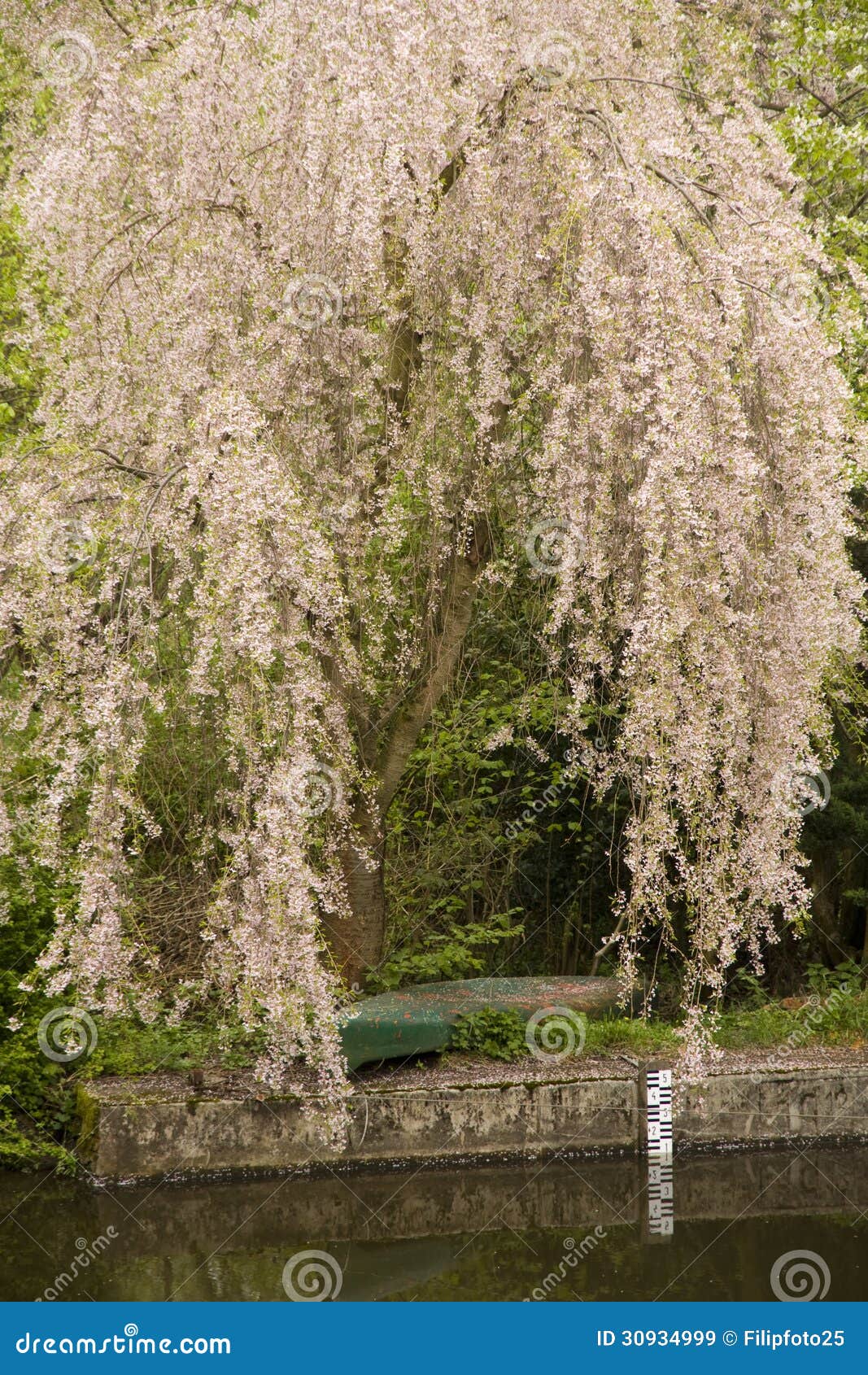 Meter Water Level Picture. Image: 30934999