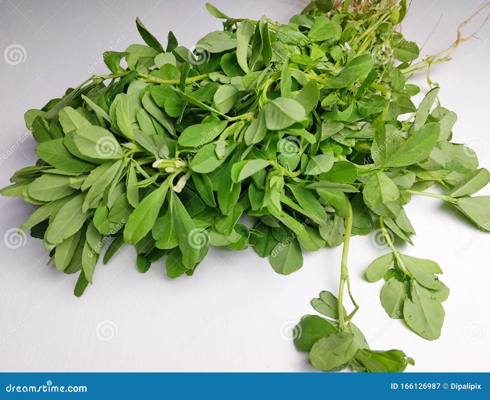 Methi Leaves on a White Background in a Burlap Bag Stock Image - Image ...
