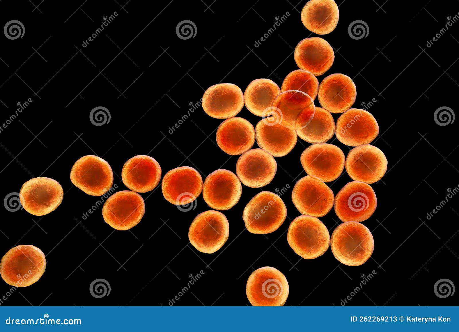 Methicillin-resistente Staphylococcus Aureus Mrsa Stock Abbildung ...