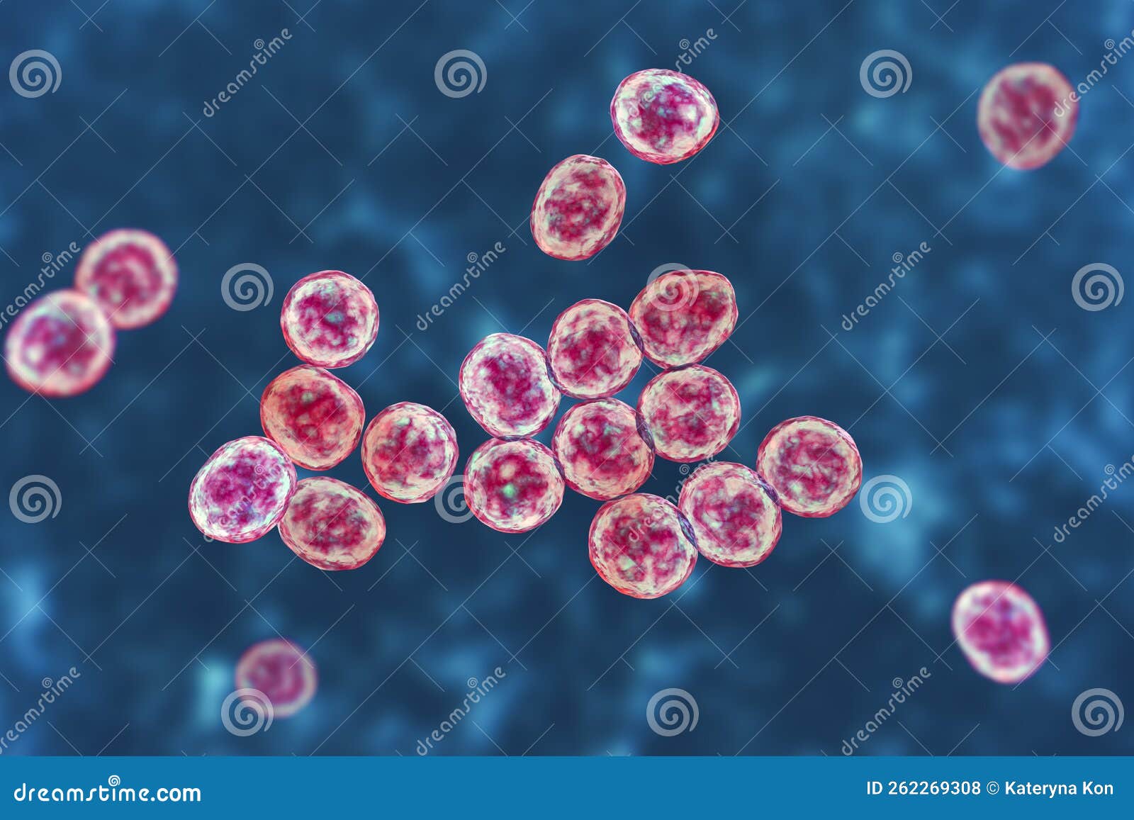 Methicillin-resistente Staphylococcus Aureus Mrsa Stock Abbildung ...