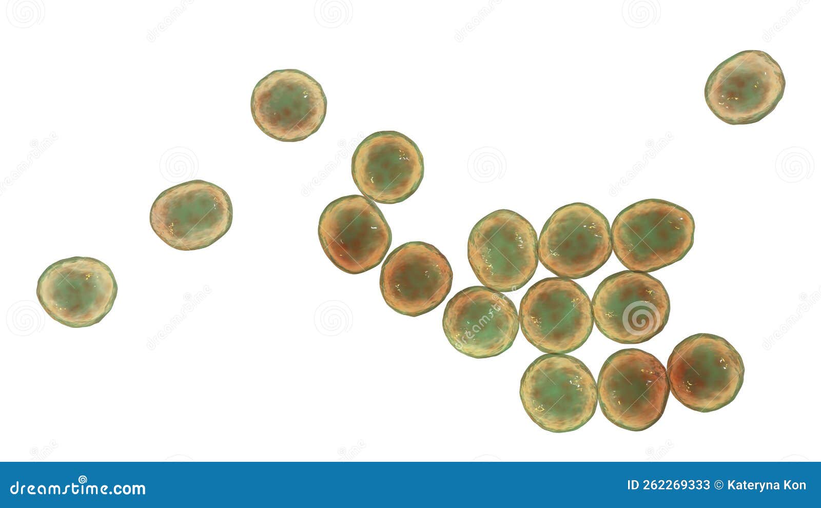 Methicillin-resistente Staphylococcus Aureus Mrsa Stock Abbildung ...