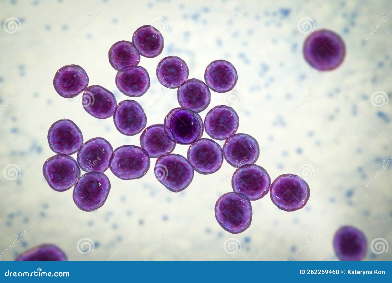 Methicillin-resistente Staphylococcus Aureus Mrsa Stock Abbildung ...