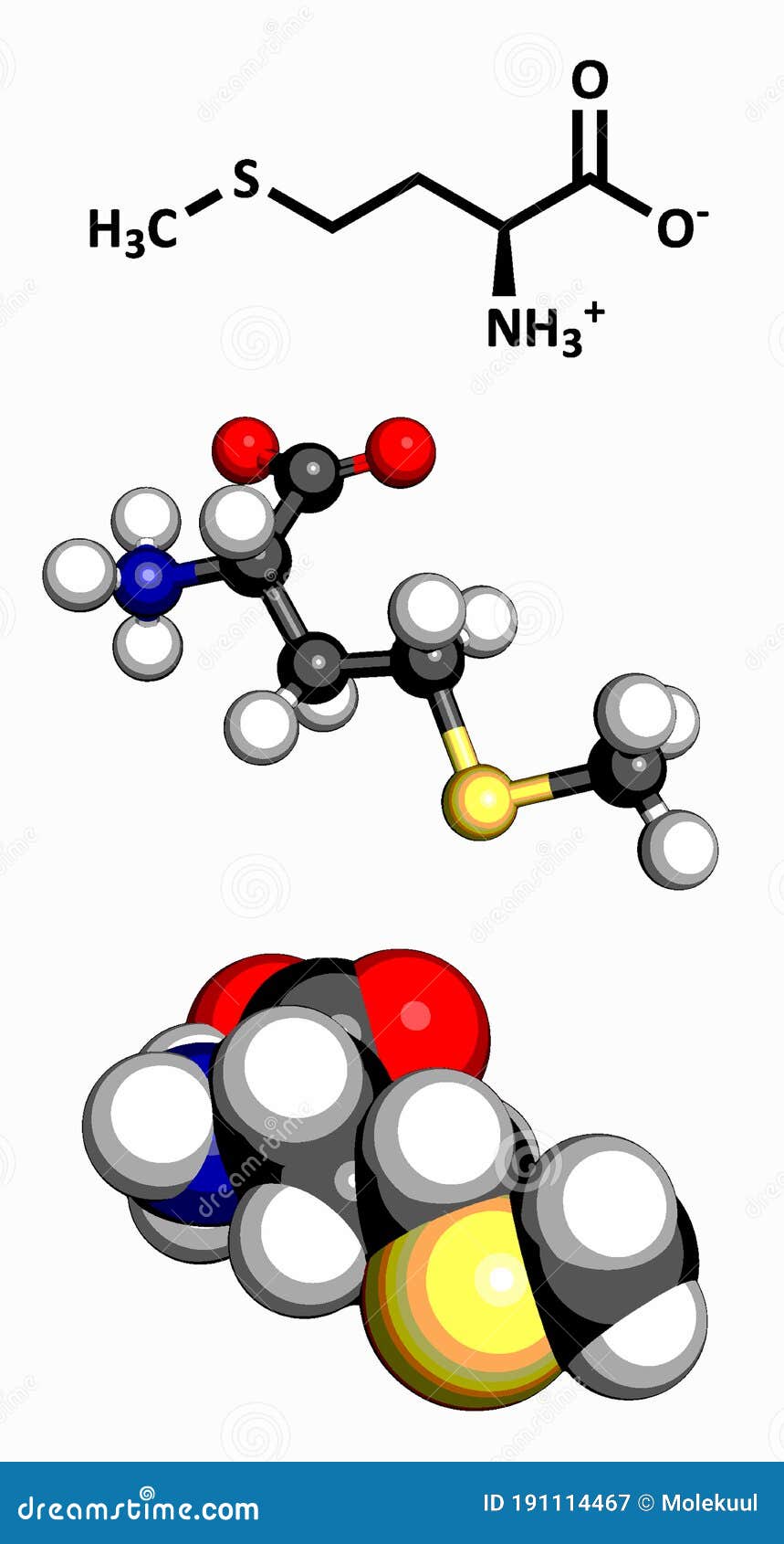 Methionine L-methionine, Met, M Amino Acid Molecule. Stock Vector ...