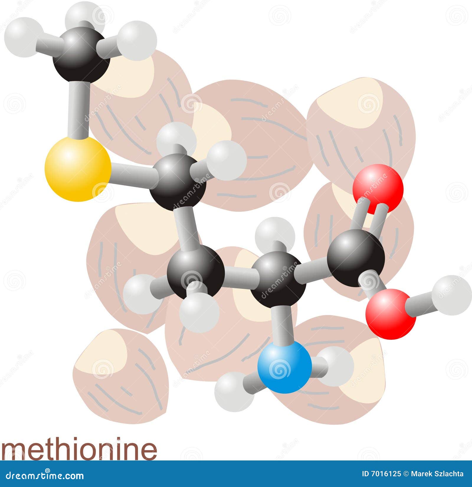 Methionine 3D Molecule Chemical Science Vector Illustration ...