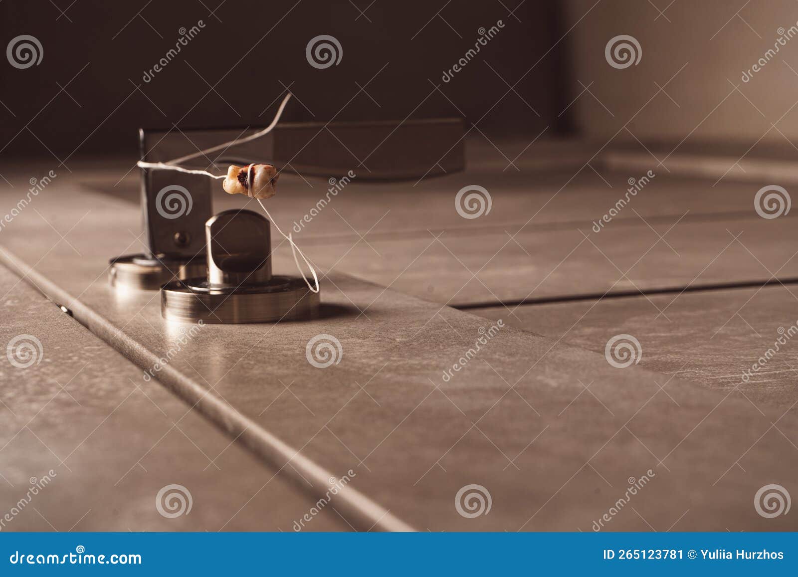 Method of Tooth Extraction. a Real Human Wisdom Tooth Hangs by a Thread ...