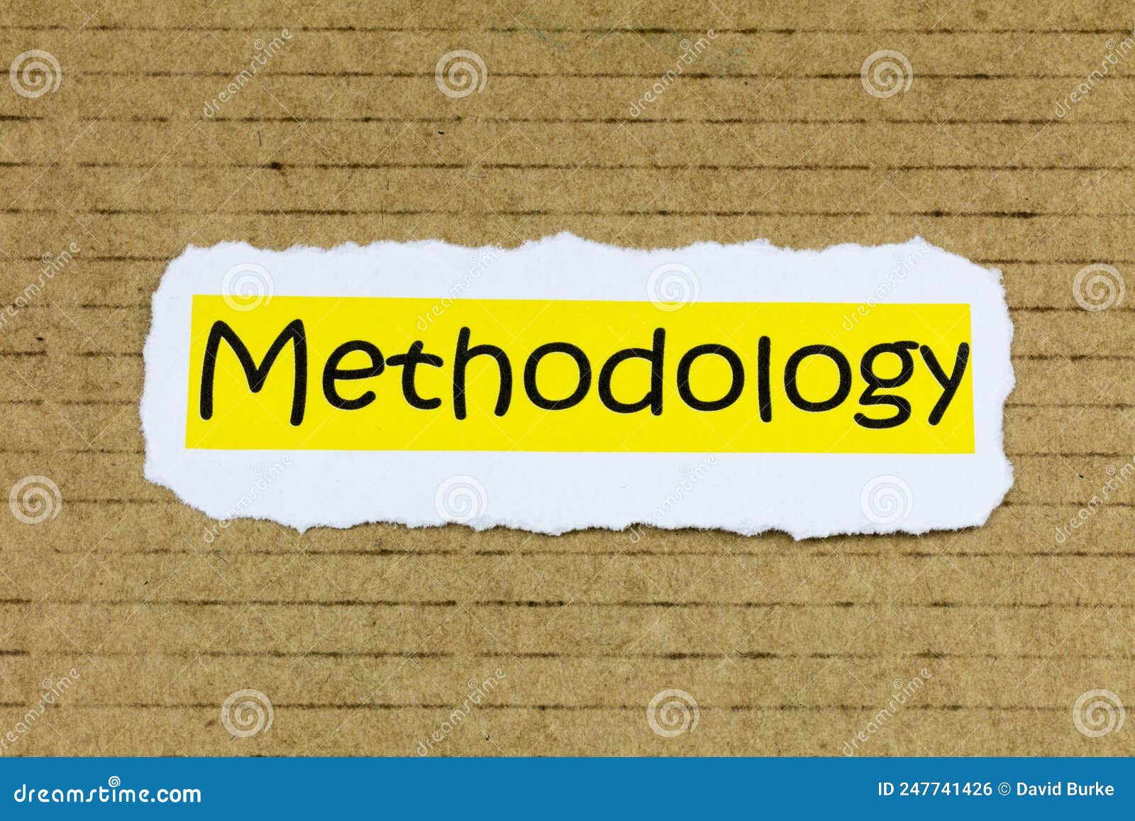 Methodology Traditional Scrum Agile Development Strategy Professional ...