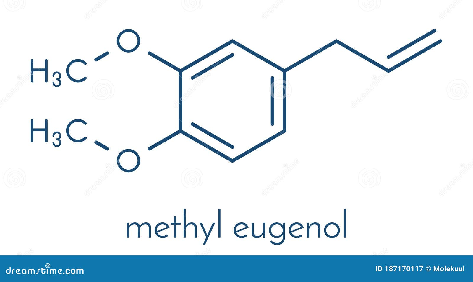 Methyl Eugenol Molecular Structure Isolated On White Stock Illustration ...