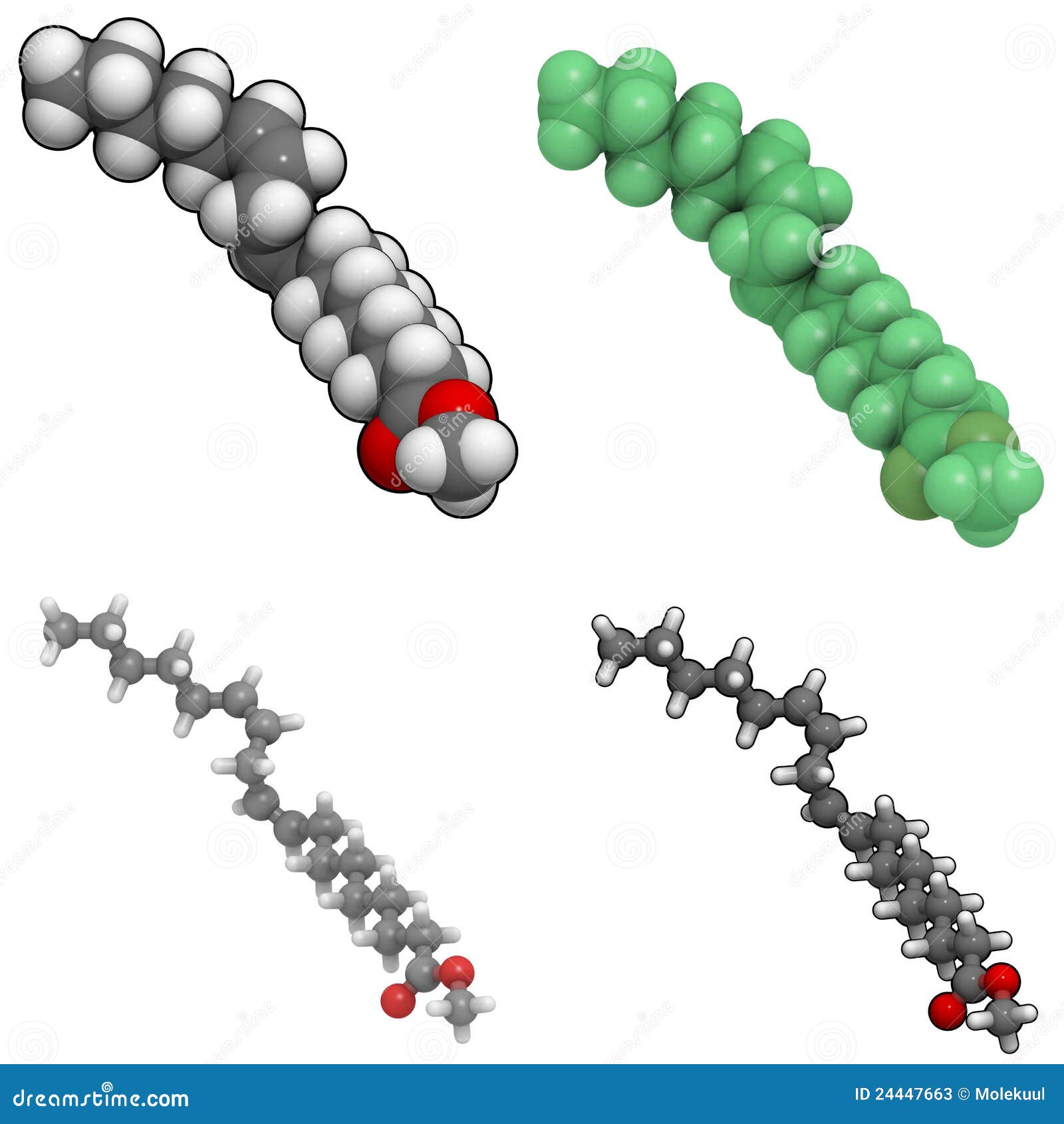 Biodiesel Molecule