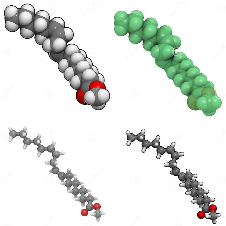 Methyl Lineolate (biodiesel) Molecule Stock Illustration - Illustration ...