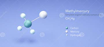 Methylmercury Molecule, Molecular Structures, Methyl Mercury, 3d Model ...