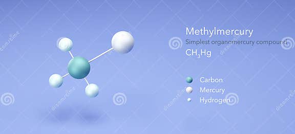 Methylmercury Molecule, Molecular Structures, Methyl Mercury, 3d Model ...