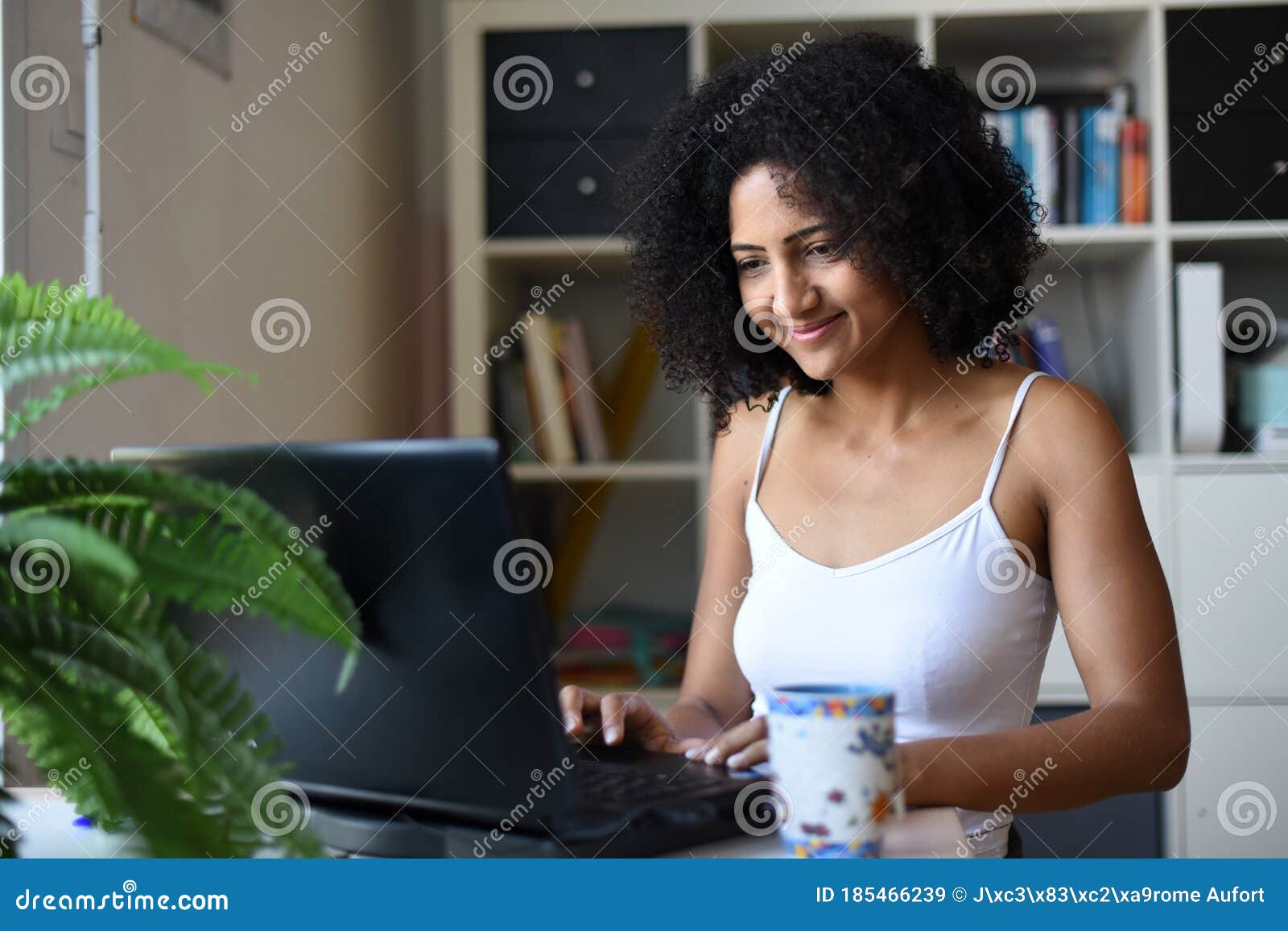 Metis Woman Working at Home Stock Image - Image of modernity, company ...