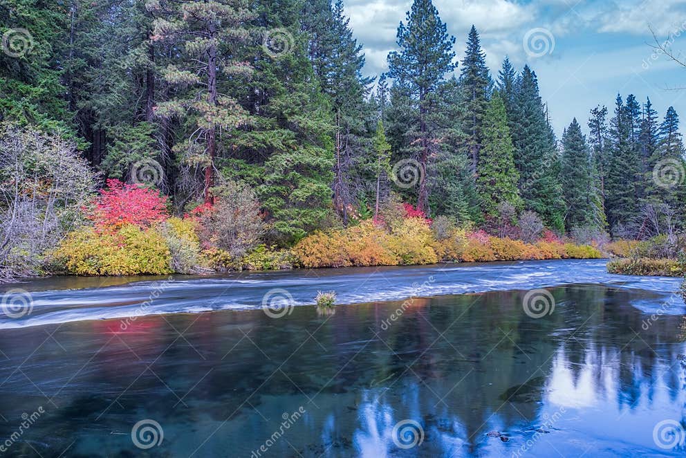 Metolius River View stock photo. Image of metolius, color - 173033824
