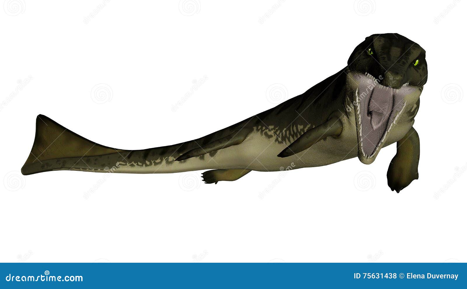 Metriorhynchus Prehistoric Fish - 3D Render Stock Illustration ...