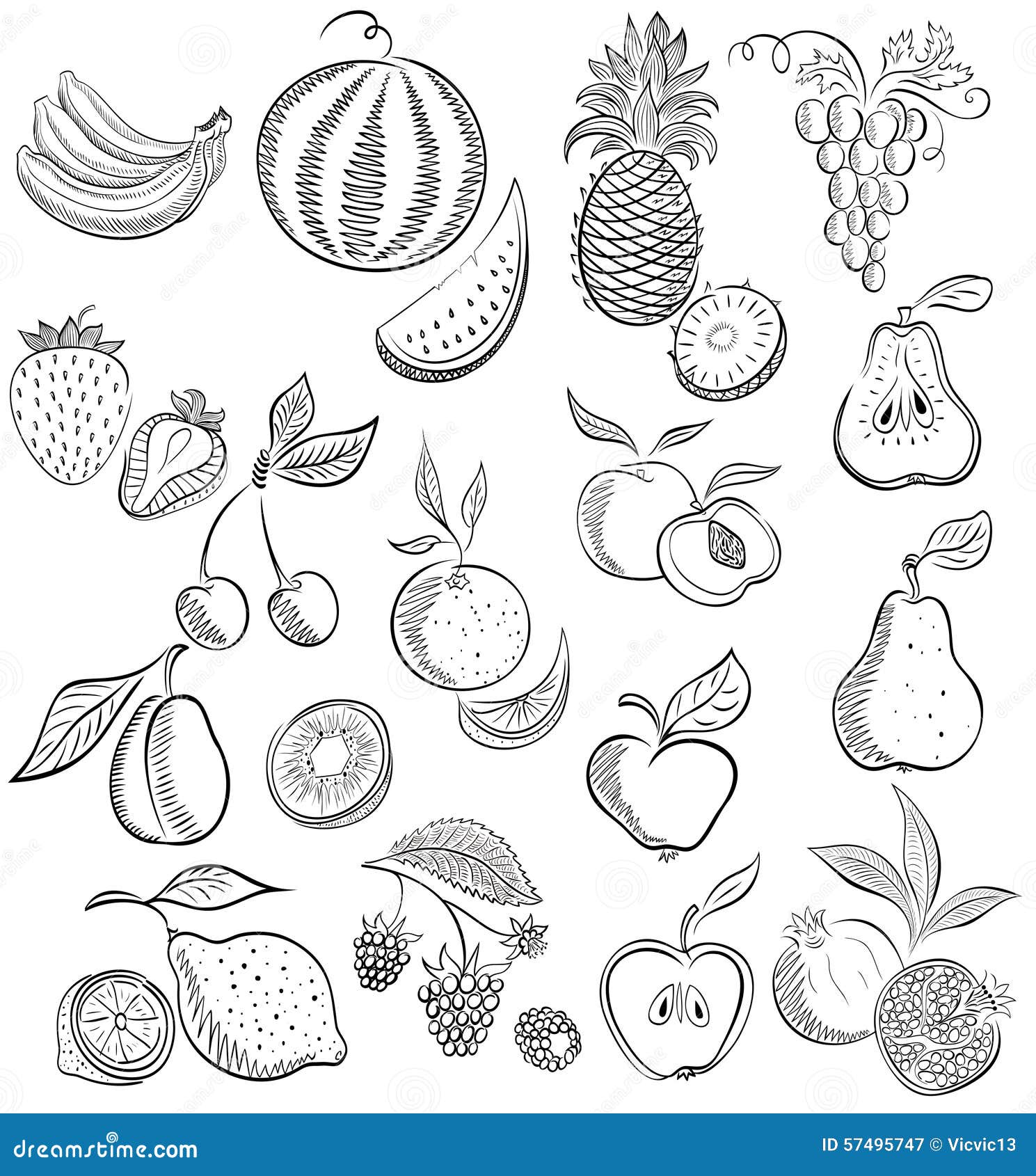 Metta Da Frutta E Dalle Bacche Schizzo Del Disegno Illustrazione ...