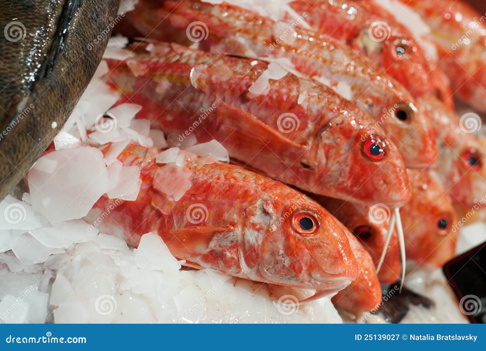 Metz covered market stock image. Image of metz, french - 25139027