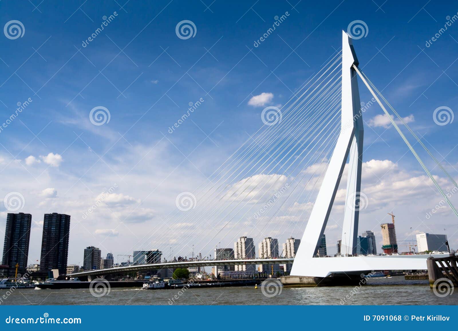 Meuse River and Erasmus Bridge Editorial Stock Photo - Image of ...