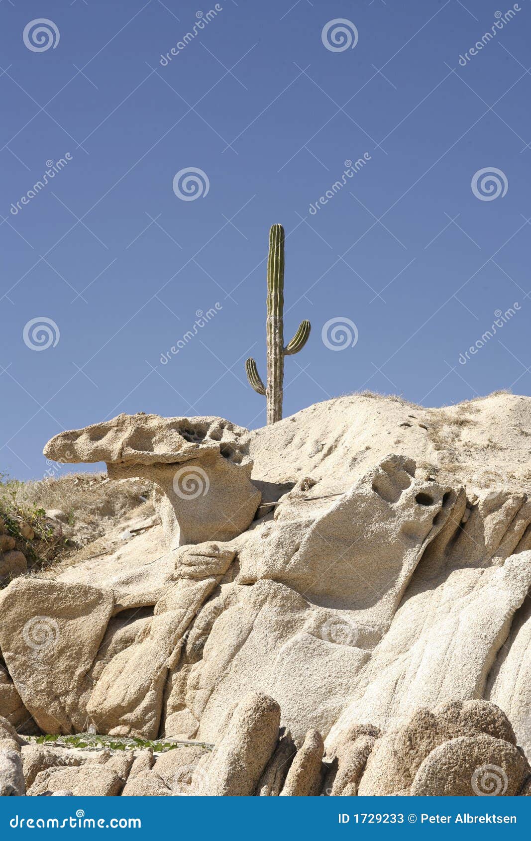 Mexicaanse woestijn stock afbeelding. Image of woestijn - 1729233