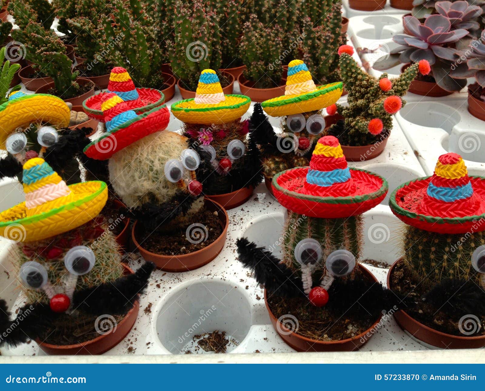 Mexican Cacti stock photo. Image of mustaches, painful - 57233870