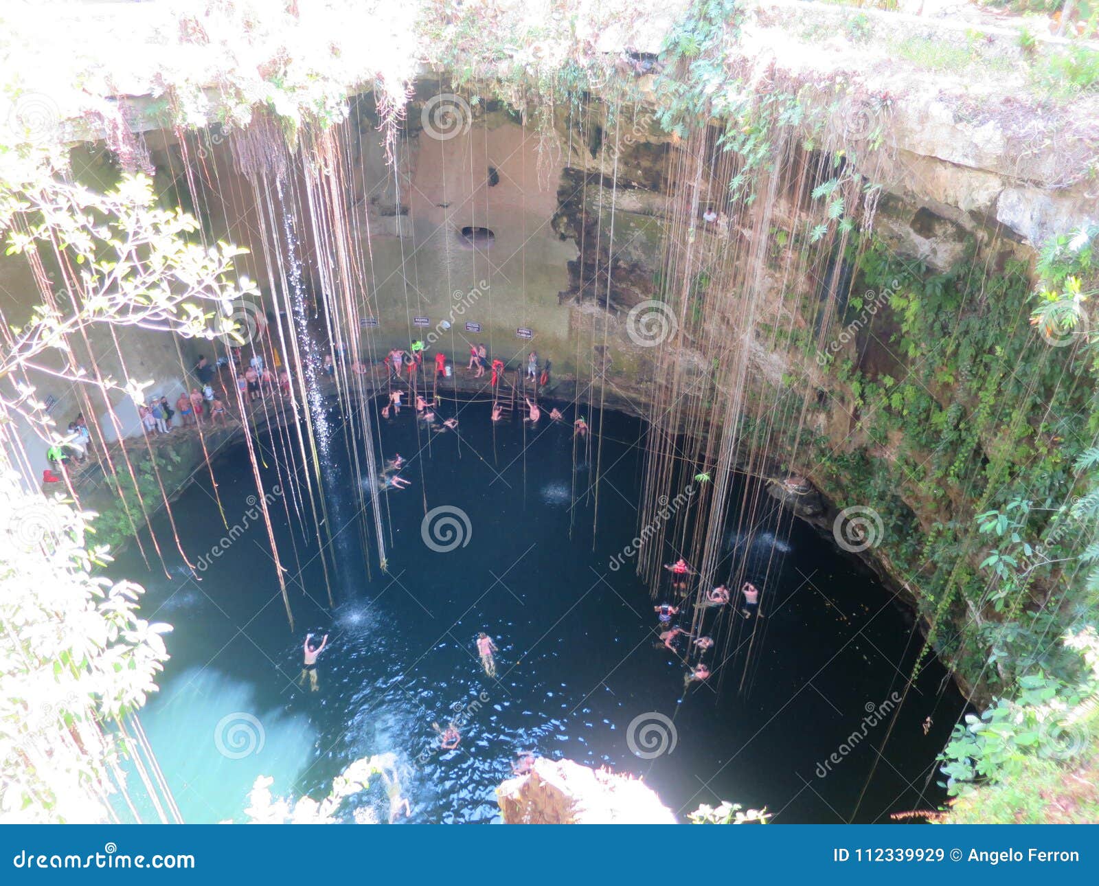 Mexican Cenotes of the Yucatan Mexico Editorial Stock Image - Image of ...
