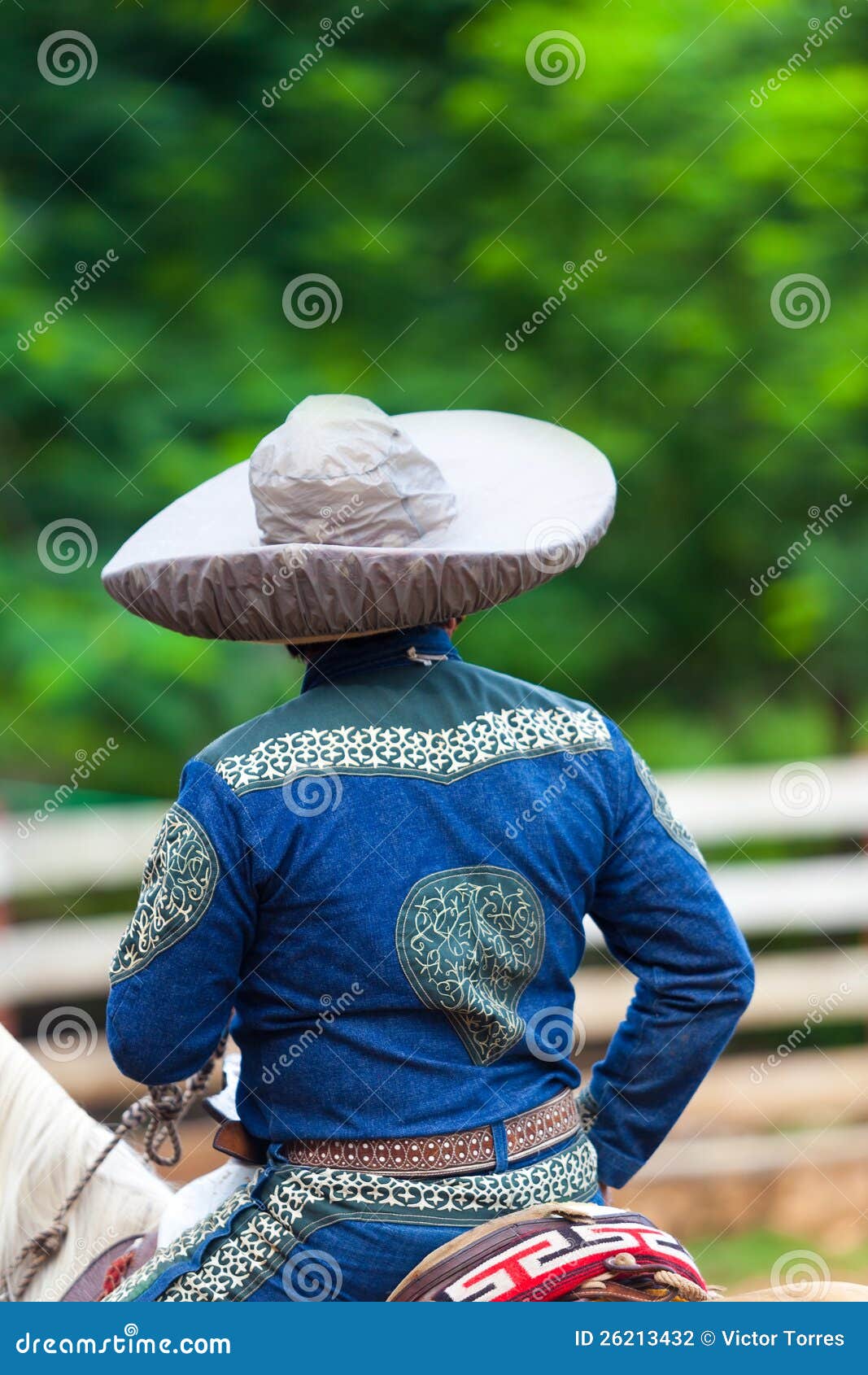 Mexican Charro With Traditional Dress Riding Royalty-Free Stock Image ...