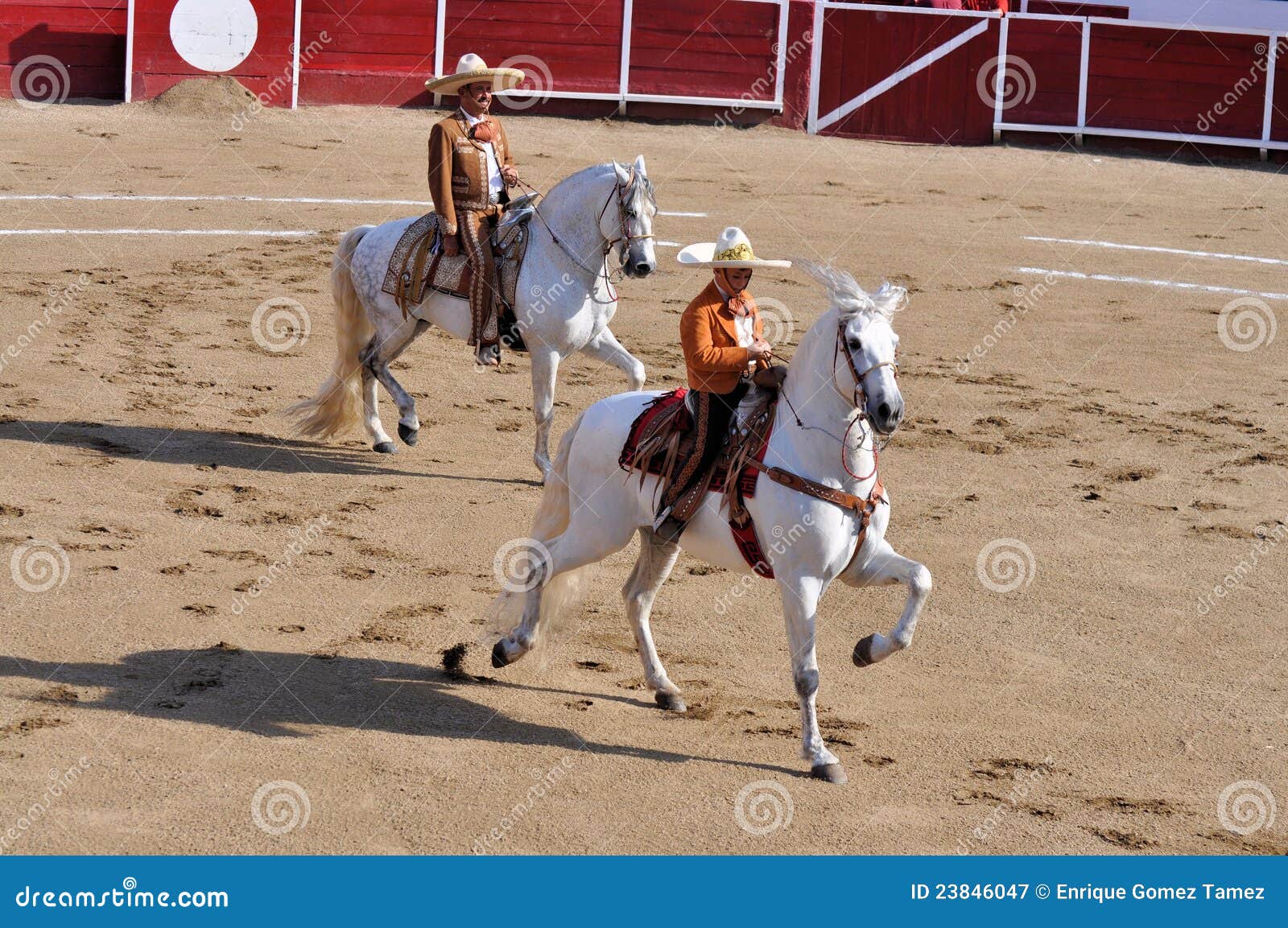 Mexican Charro editorial photography. Image of horses - 23846047