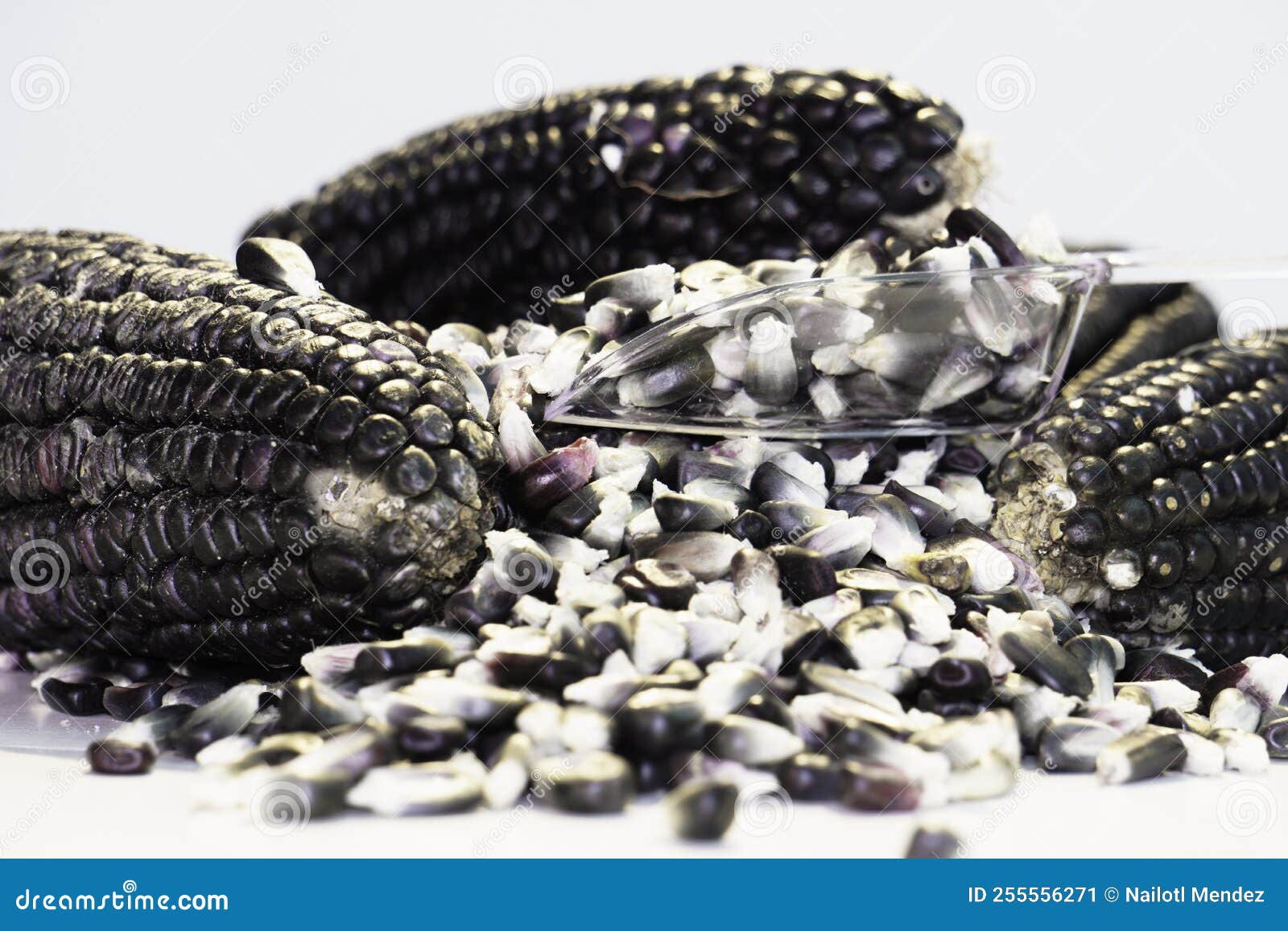 Mexican Corn Blue Color on White Background Stock Image - Image of ...
