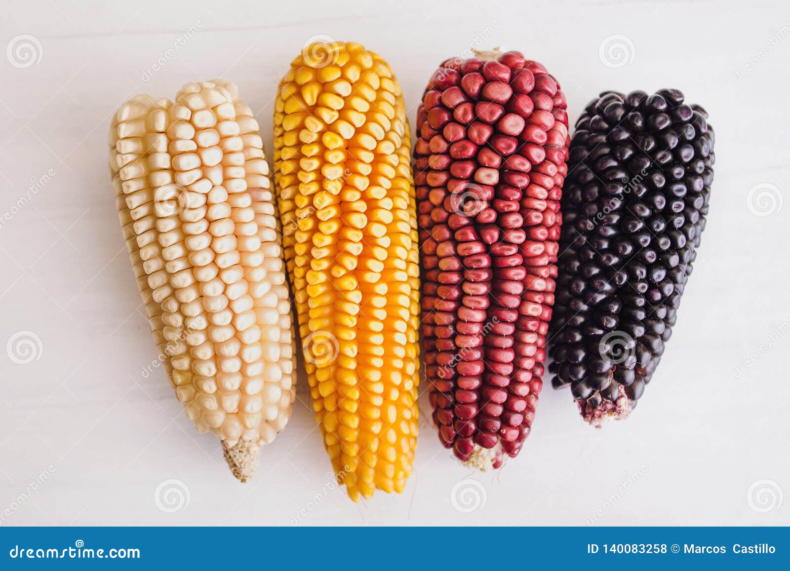 Mexican Corn Crop in Different Colors in Mexico Stock Photo - Image of ...