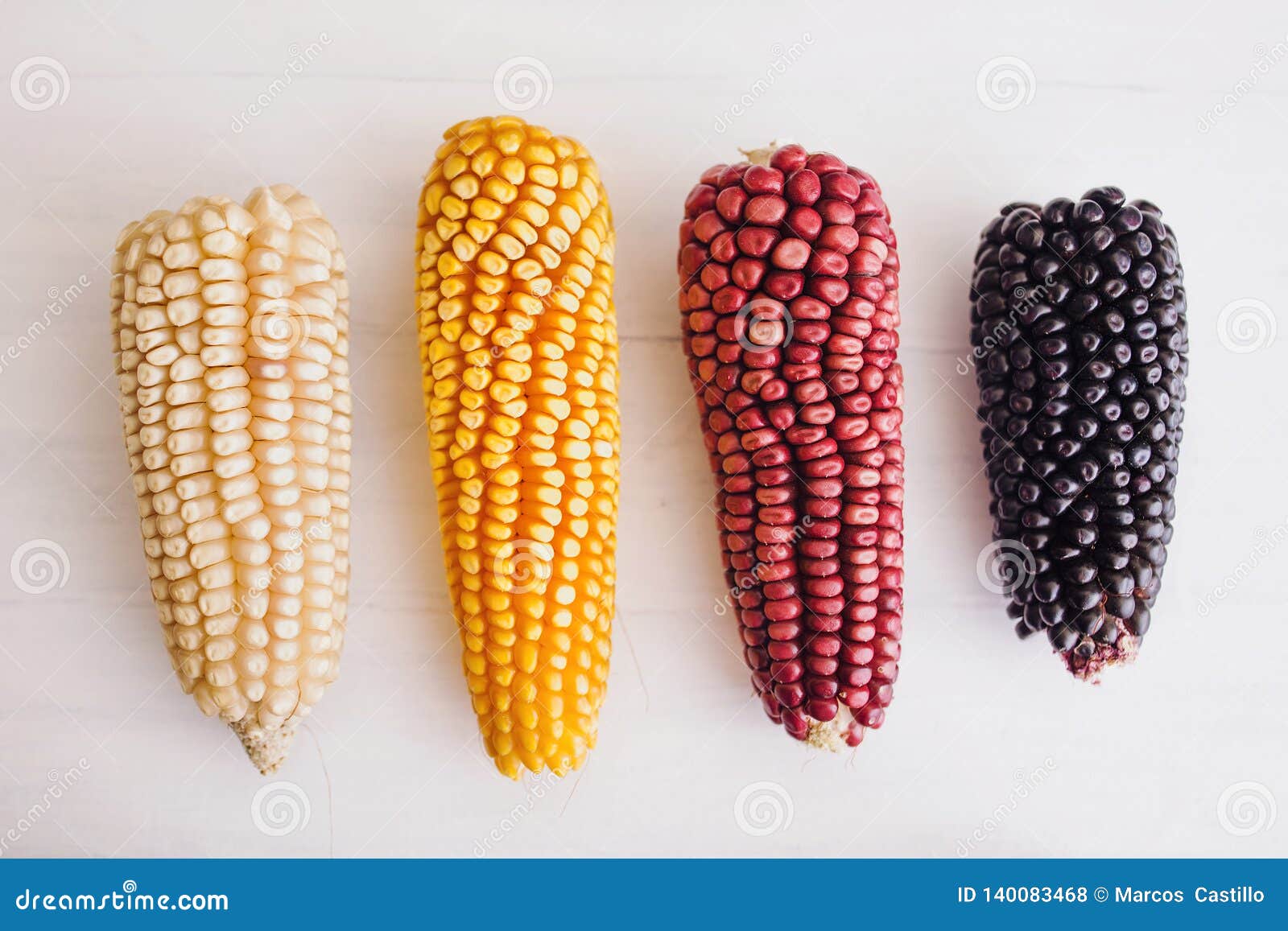 Mexican Corn Crop in Different Colors in Mexico Stock Photo - Image of ...