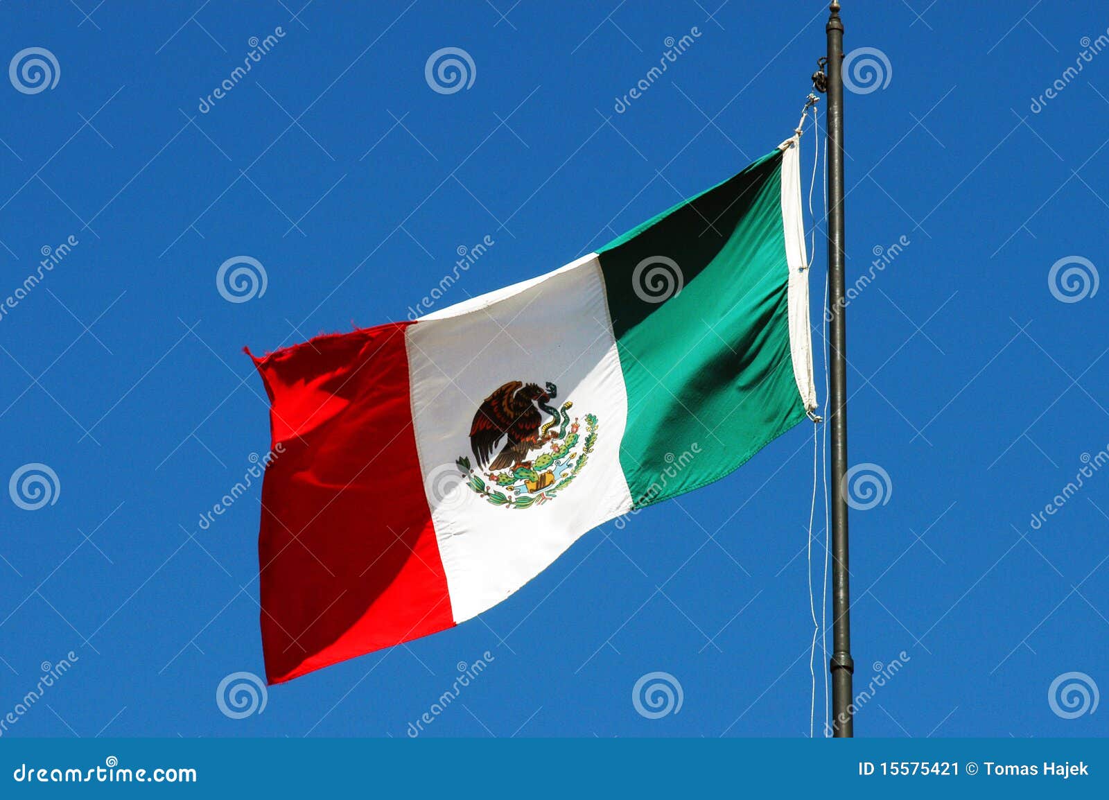 Mexican flag stock image. Image of waving, republic, blue - 15575421