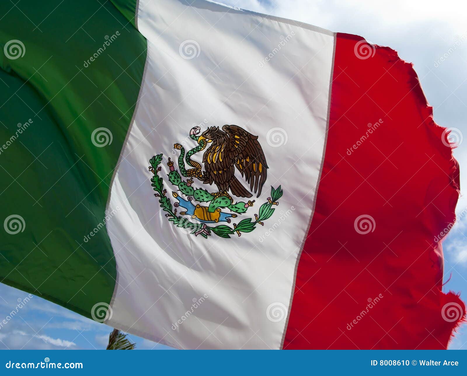 Mexican Flag stock photo. Image of patriotic, textured - 8008610