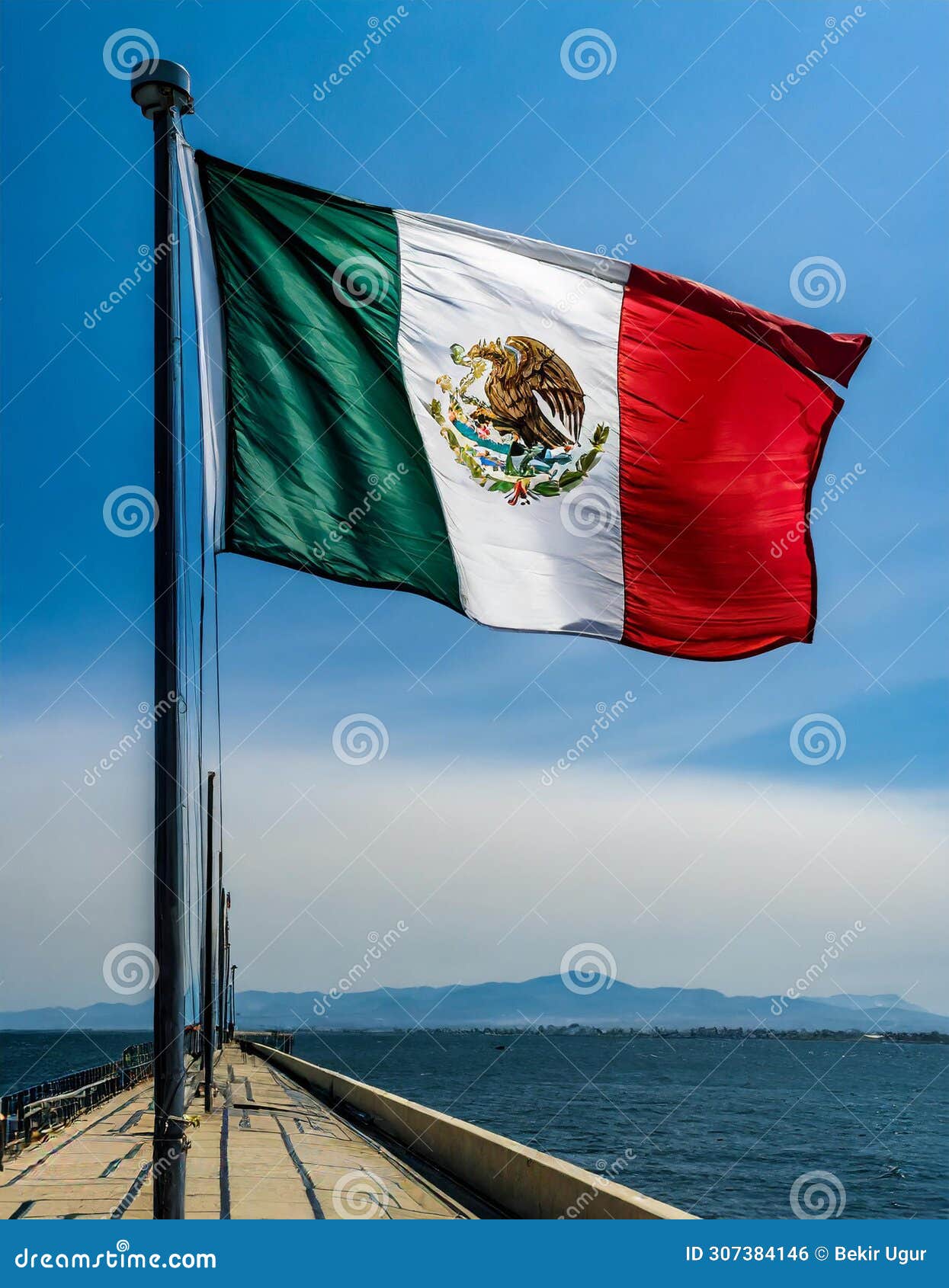 Mexican Flag Waving in the Wind Isolated Mexico Stock Illustration ...