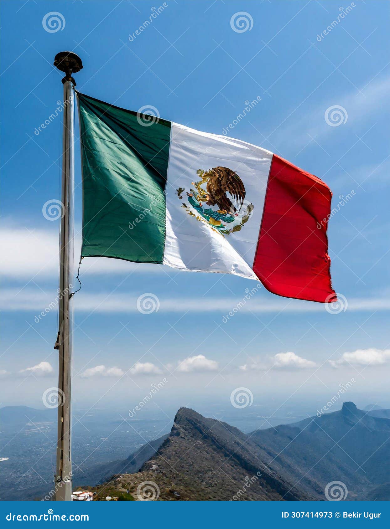 Mexican Flag Waving in the Wind Isolated Mexico Stock Illustration ...