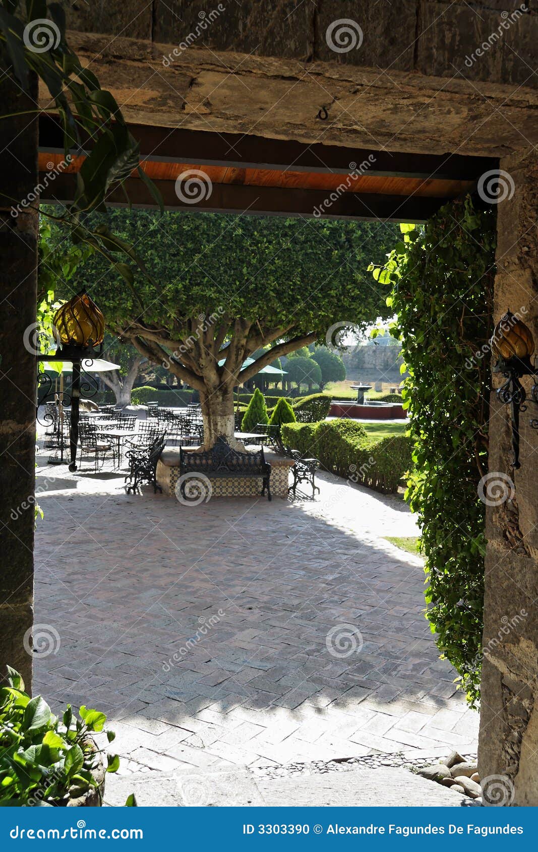 Hacienda Wood Tree Guanajuato Stock Photo | CartoonDealer.com #3502044