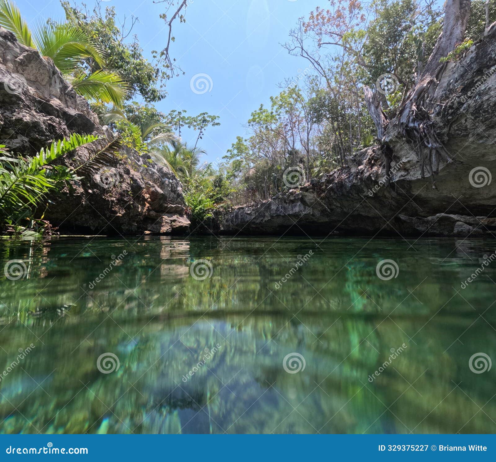 Blissful Cenote stock image. Image of forest, wave, tropics - 329375227