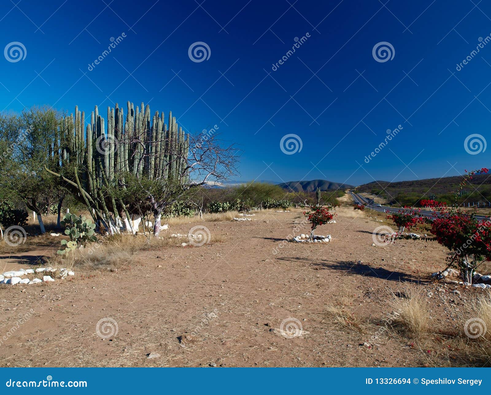 Mexican Landscape in a Mountain Grassland Stock Photo - Image of mexico ...